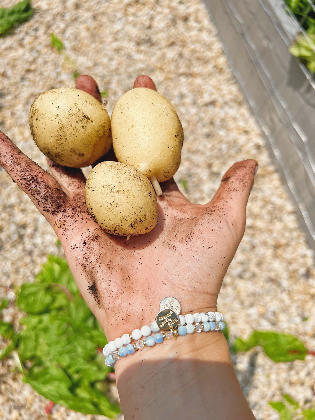 Not So Fancy Smashed Potatoes – Fancy Peasant